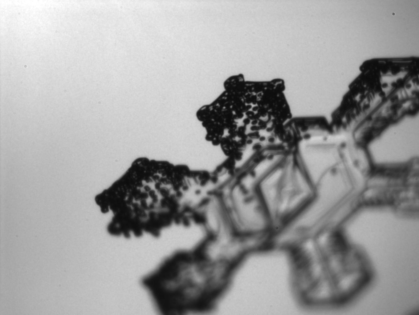 WhatsApp Image 2022 02 04 At 6 26 48 PM | NASA Airborne Science Program