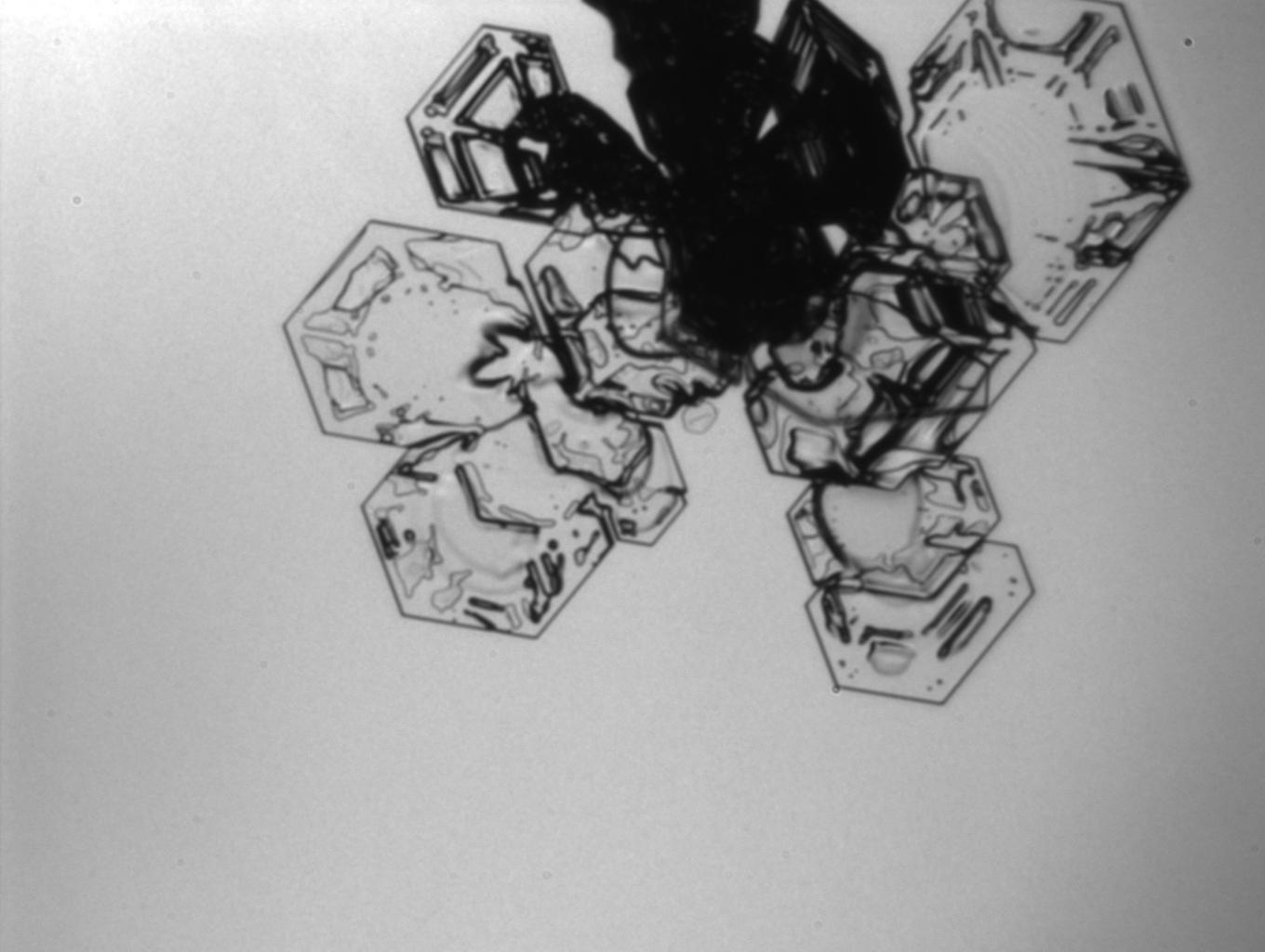 WhatsApp Image 2022 02 04 At 6 26 49 PM (1) | NASA Airborne Science Program