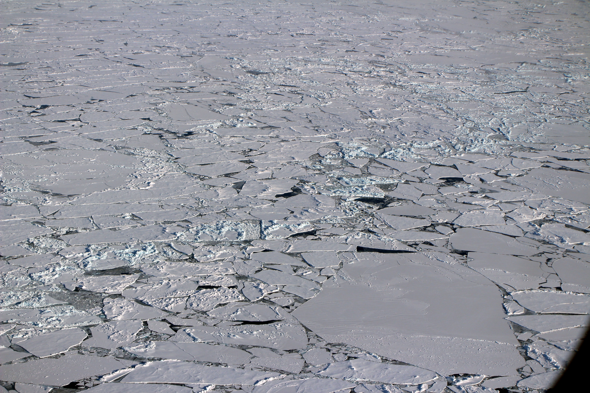 Shattered pack ice | NASA Airborne Science Program