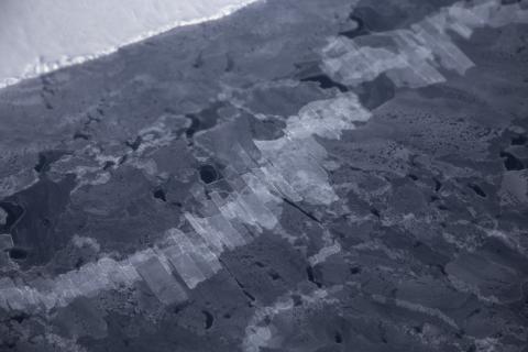 Thin sea ice (nilas) finger rafting in a refreezing lead | NASA ...